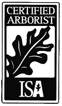 The Crew – Limbwalker Tree Care Service